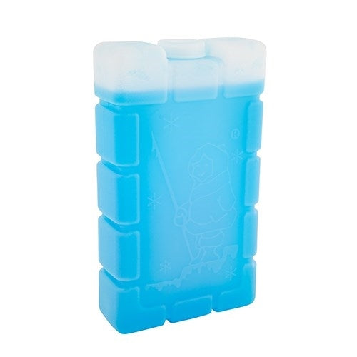 Esky Medium Ice Brick – Glamp My Camp